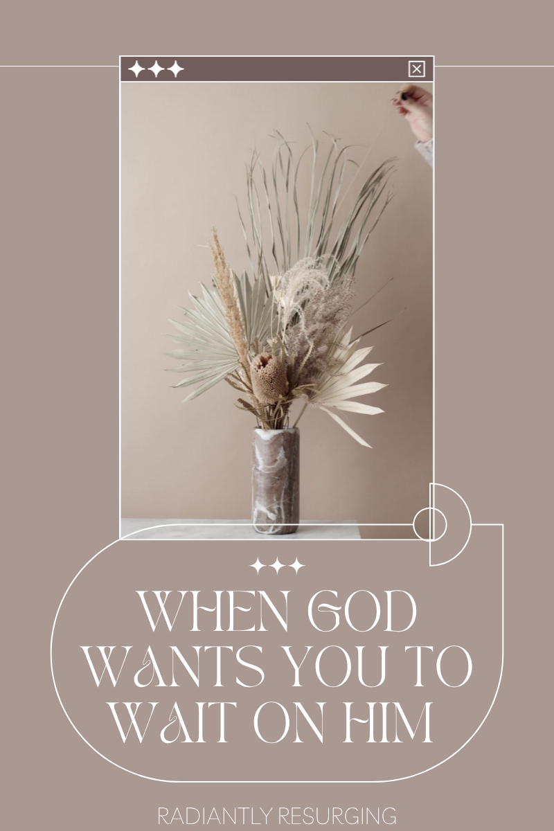 How To Know When God Wants You To Wait On Him To Fulfill His Promise. - Radiantly Resurging